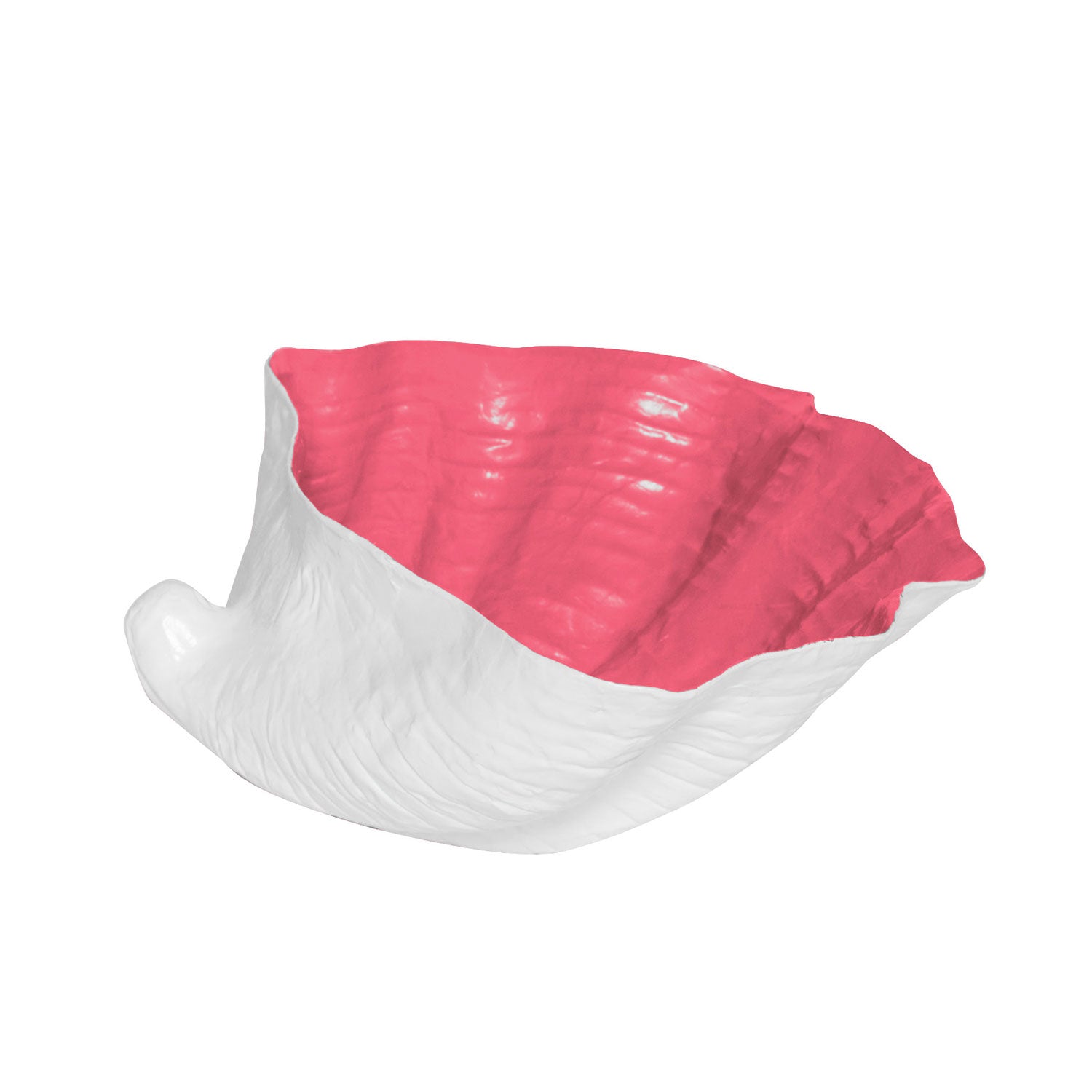 Clam Shell – Stray Dog Designs