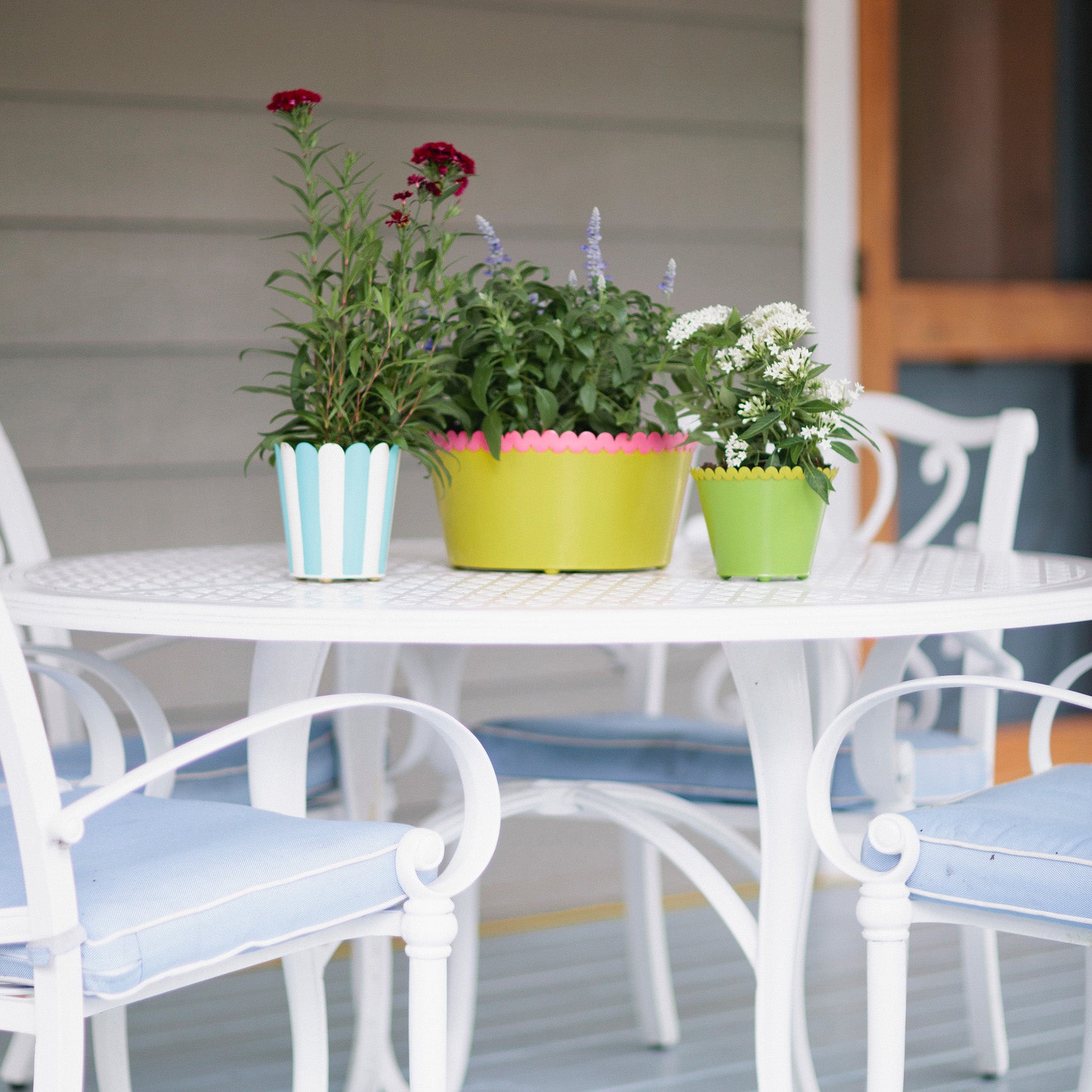 Scalloped Tole Cachepot – Stray Dog Designs